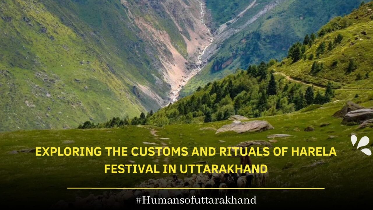 Why Harela Is Celebrated In Uttarakhand: The Vibrant Festival Marking The Arrival Of Monsoons ...